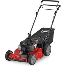 Petrol lawnmower klarna store